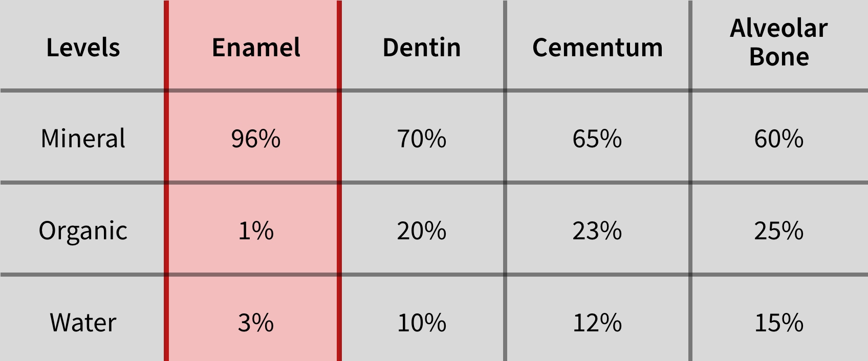 Cementum Cementum